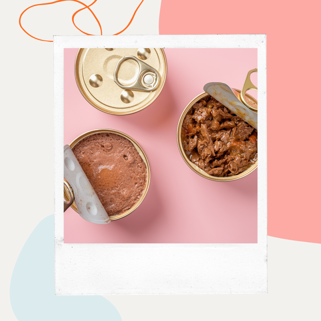 From Horse Meat to Plant-Based: The Surprising Evolution of Dog Food ...
