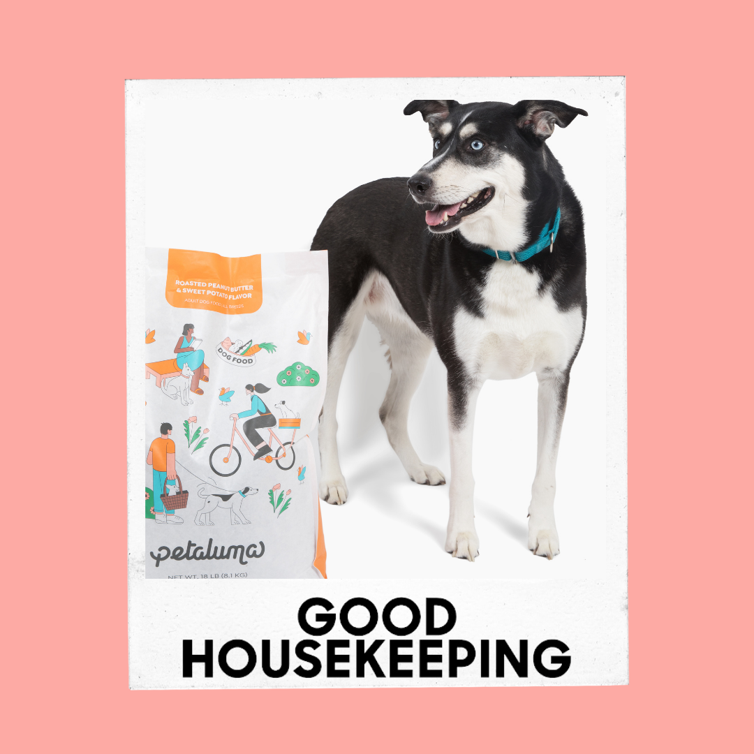 Petaluma Selected as a Good Housekeeping 2023 Sustainable Innovation A